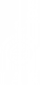 Home - Islamic Association of Raleigh
