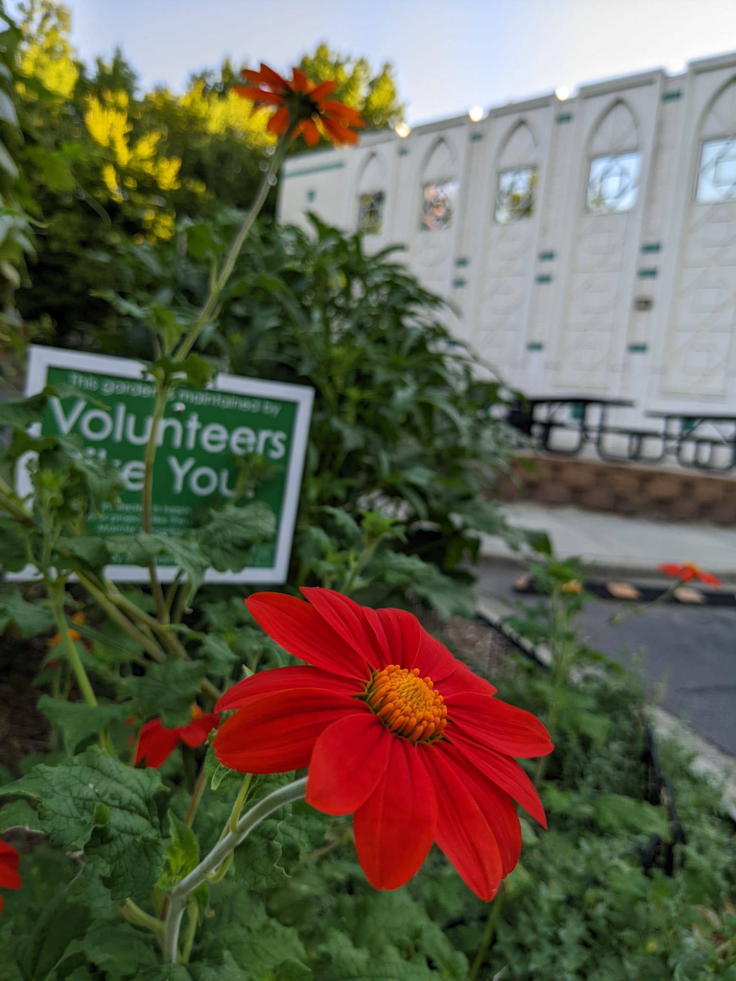 IAR23: Our Masjid - Islamic Association of Raleigh